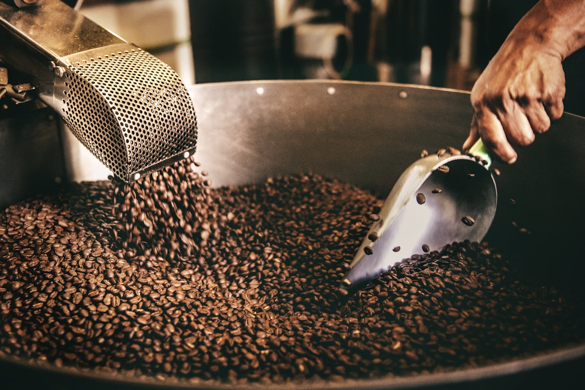Caffeine and Creativity Boosting Inspiration with Every Sip | Eighteen ...